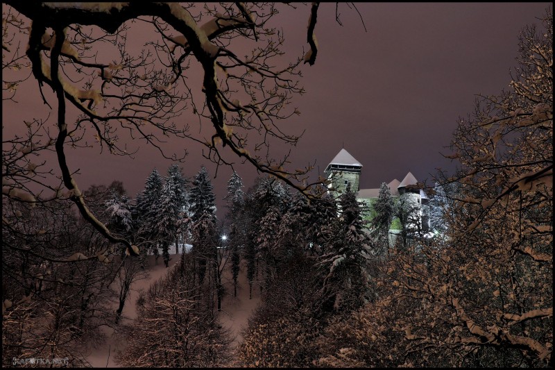 Stari grad Dubovac 2018. godine | KAfotka