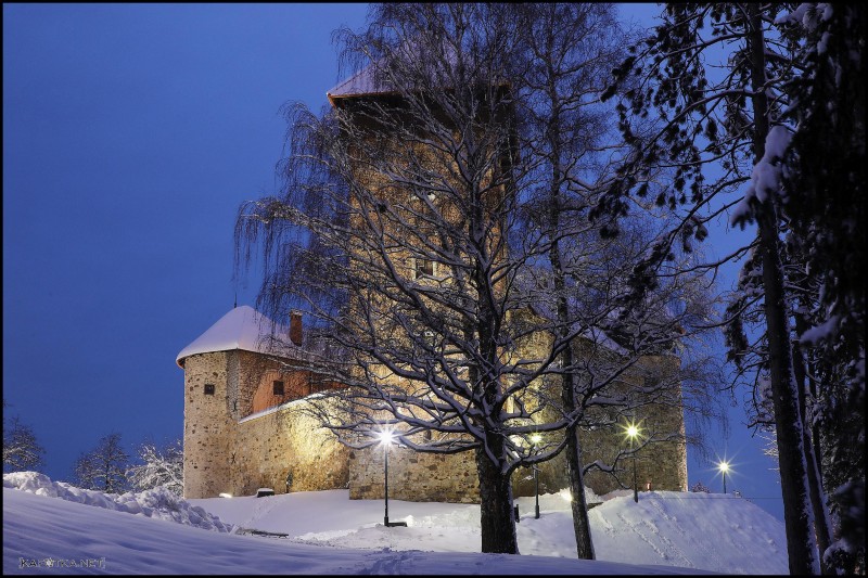 Stari grad Dubovac 2018. godine | KAfotka