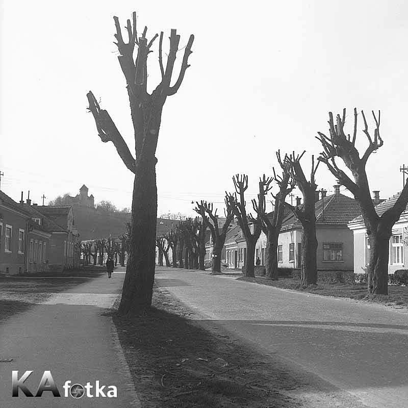 Dubovac - Primorska ulica | KAfotka