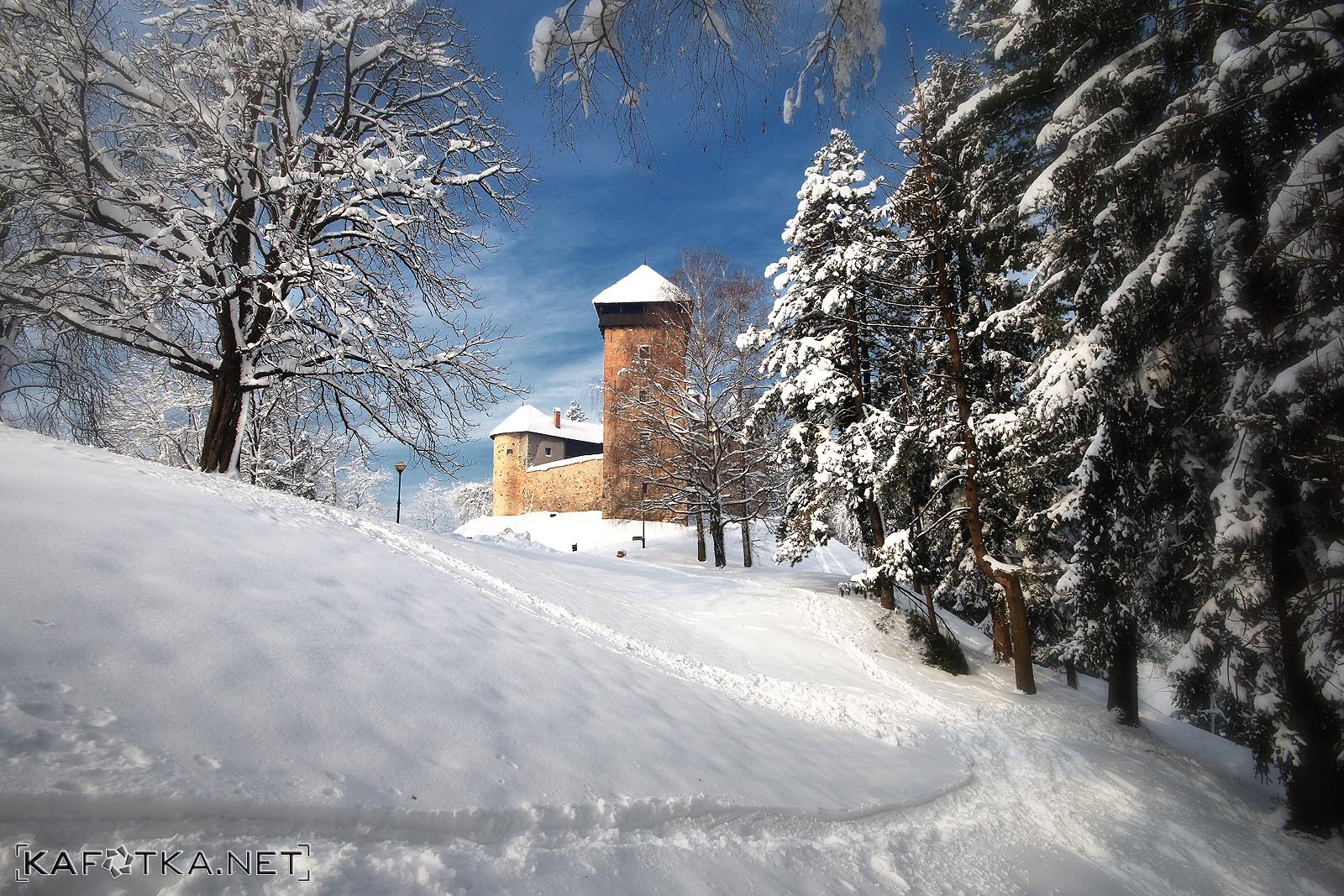 Stari grad Dubovac | KAfotka